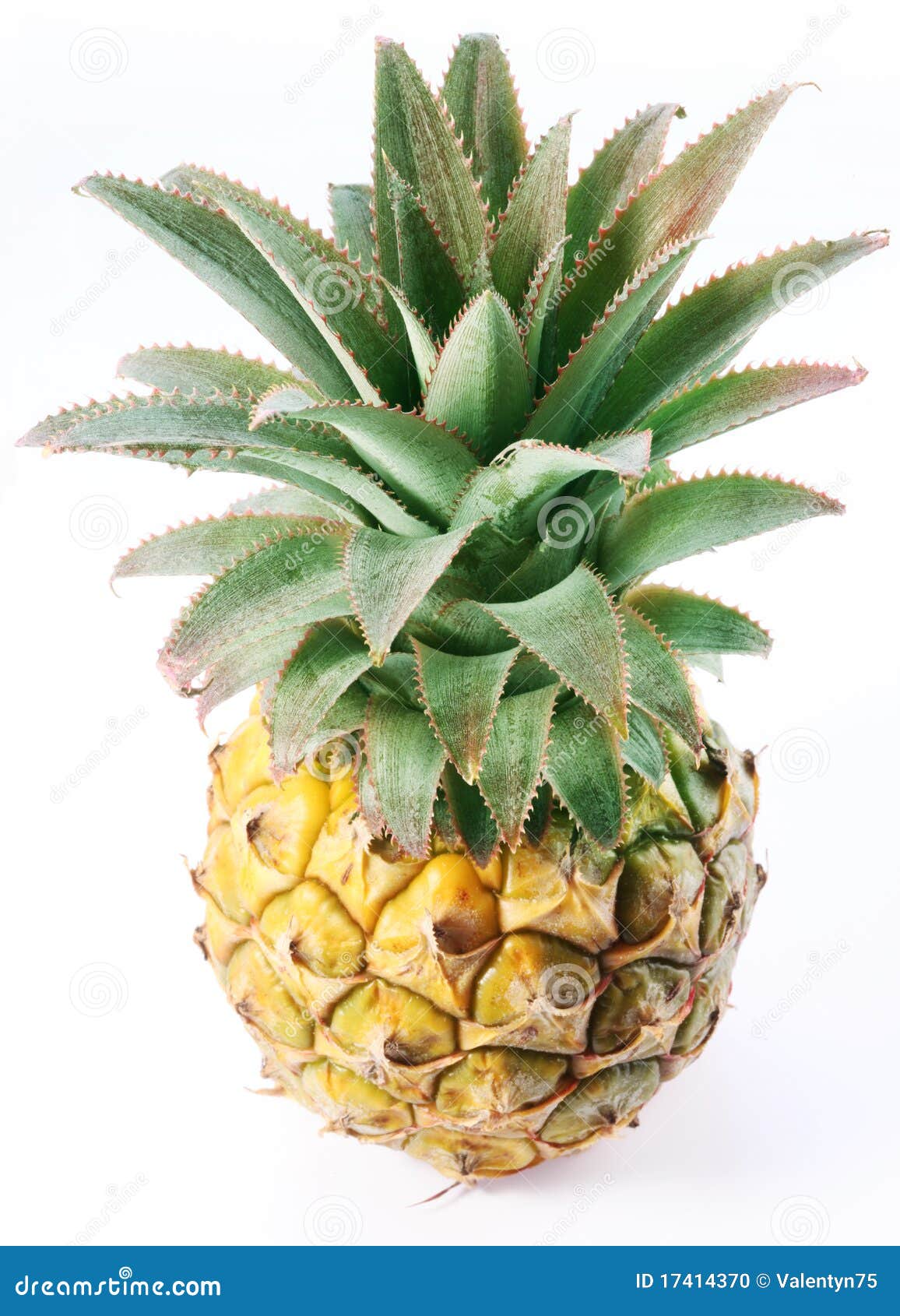 Ripe Pineapple. View from Top. Stock Photo - Image of green, white ...