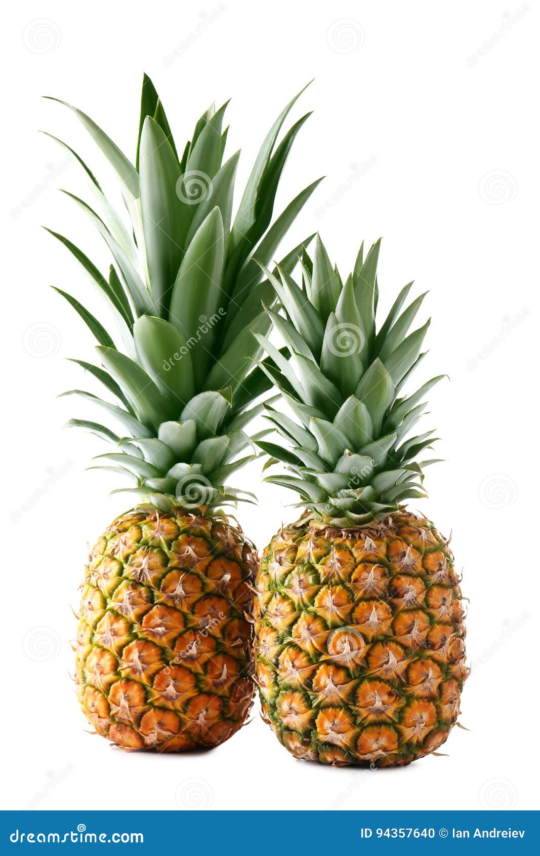 Ripe pineapples stock photo. Image of green, color, citrus - 94357640