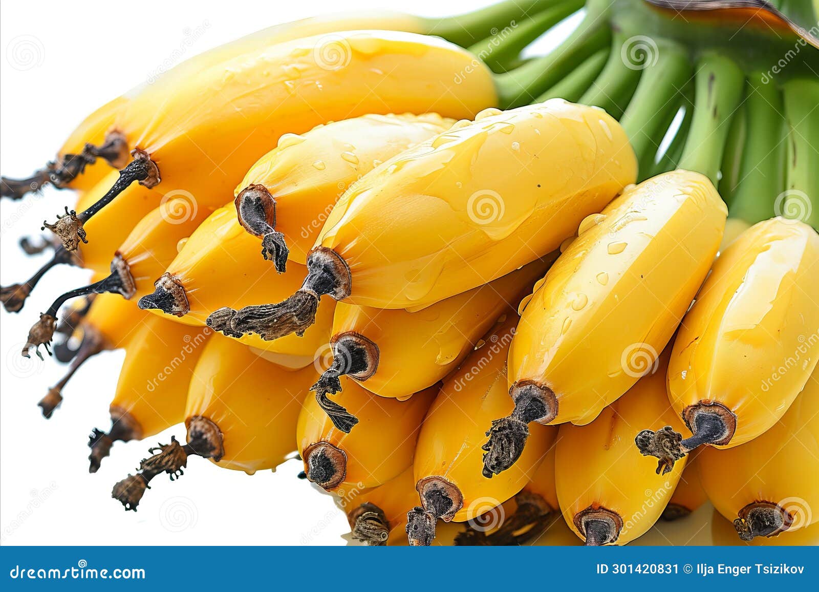 Ripe Plantain Fruit Isolated on White Background High Quality Image for ...