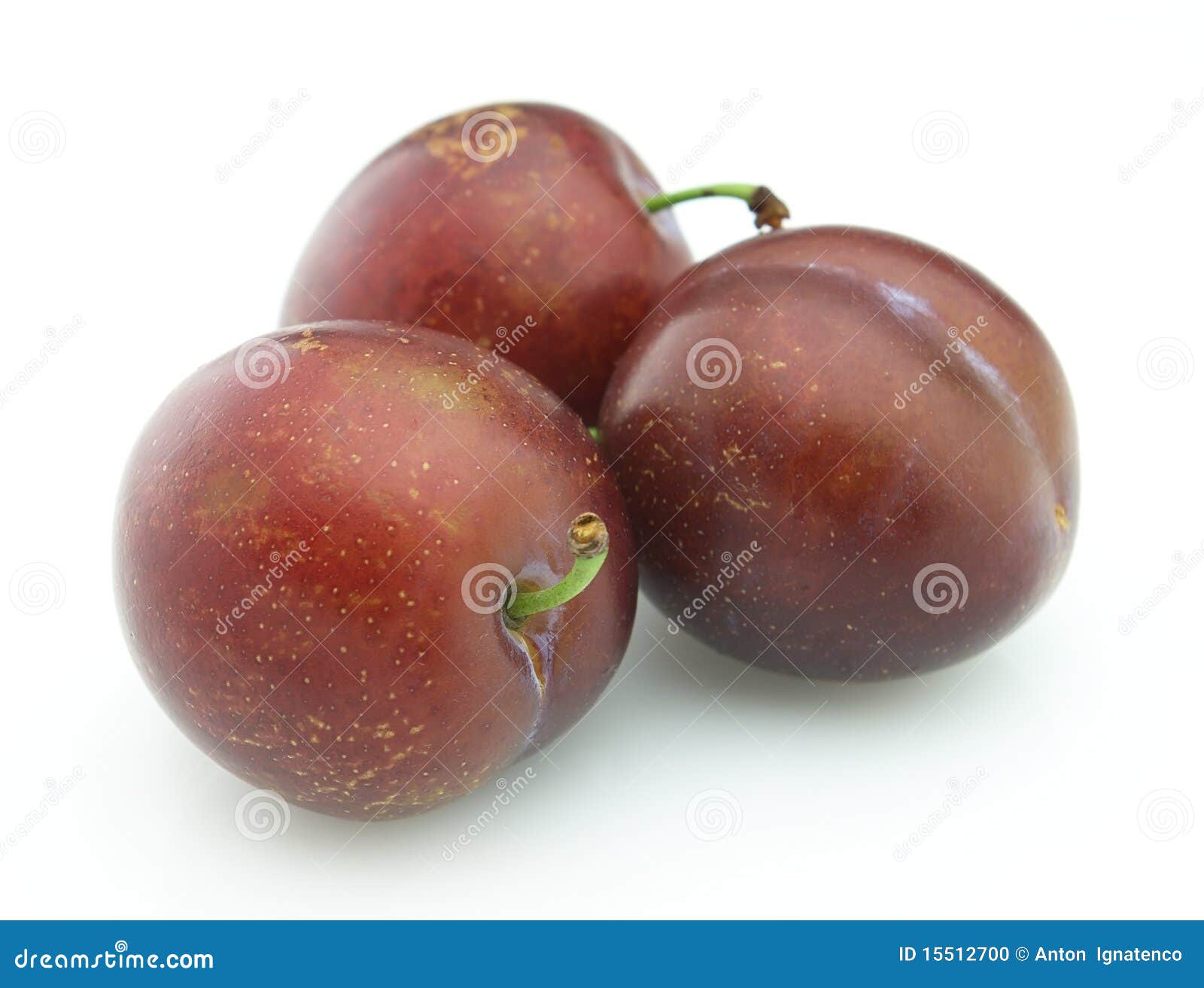 Ripe plum stock photo. Image of healthy, purple, color - 15512700