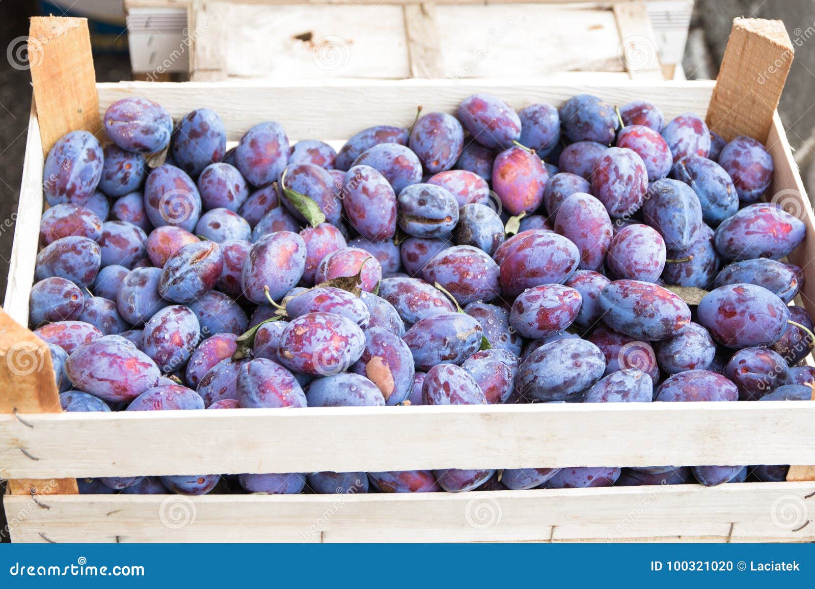 Ripe plum of the box stock photo. Image of organic, fruit - 100321020