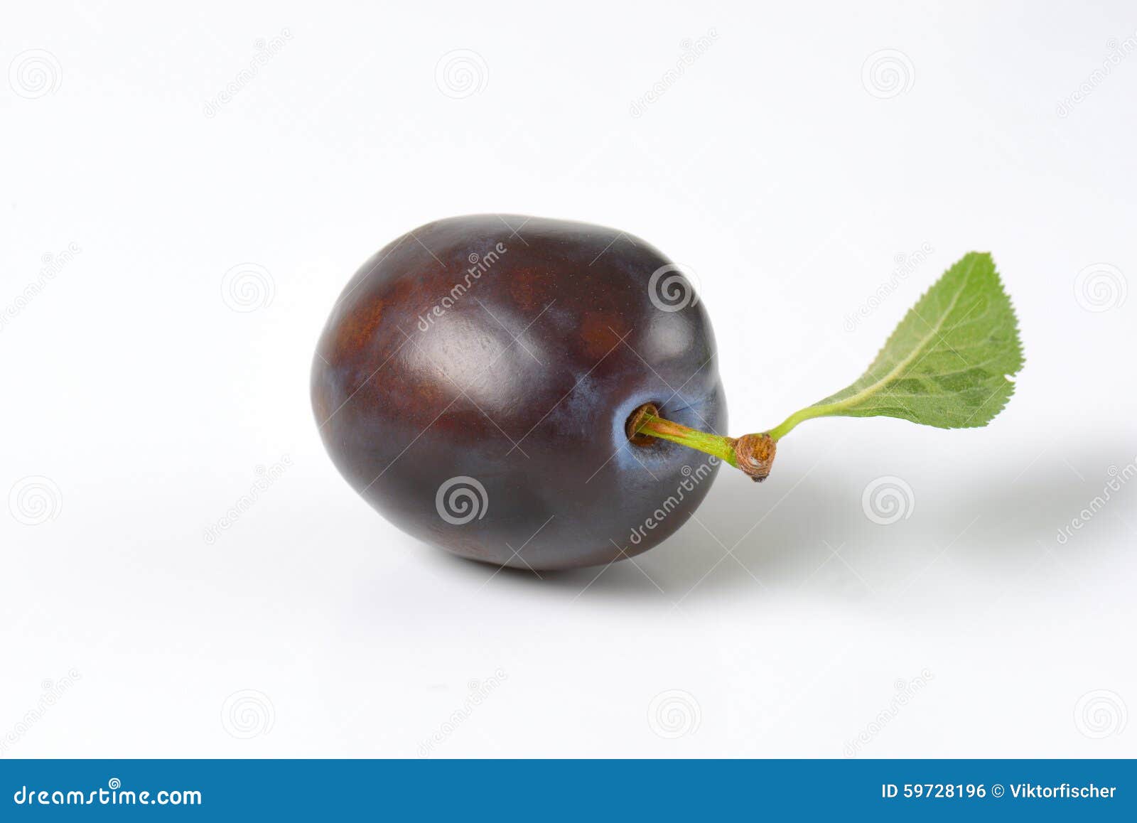 Ripe plum stock photo. Image of tasty, prune, blue, background - 59728196