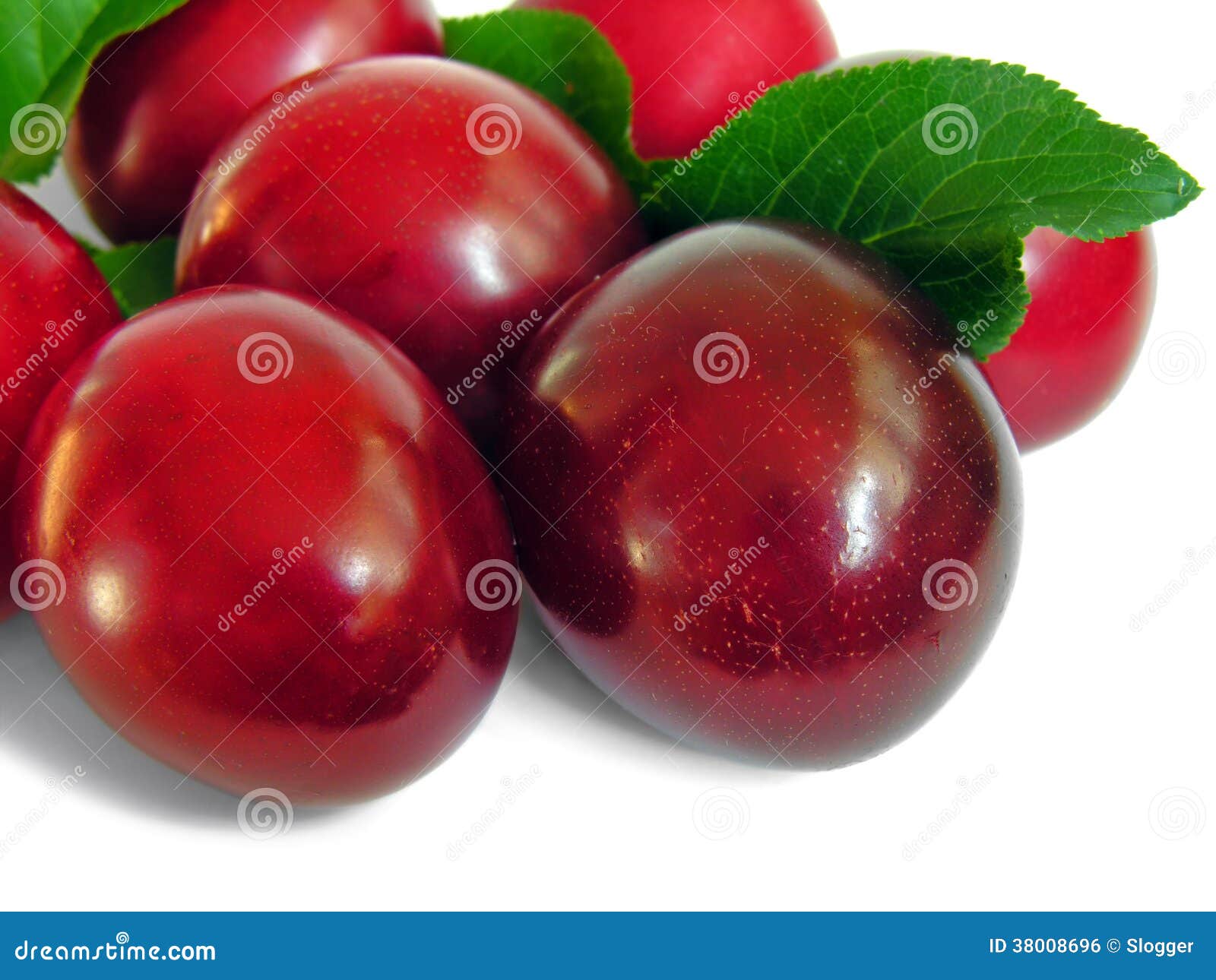 Ripe Plum,isolated on White Stock Photo - Image of fruit, freshness ...