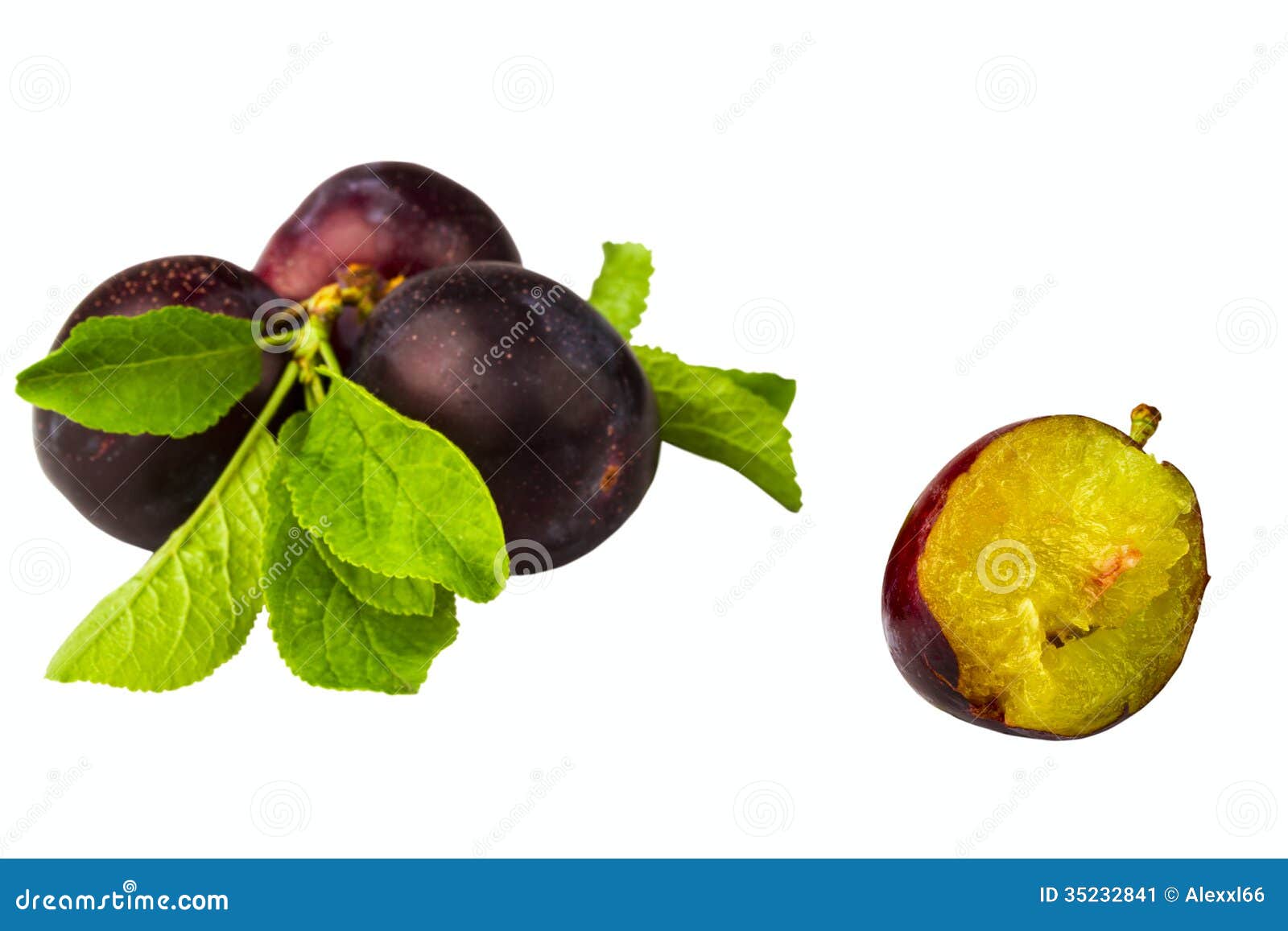 Ripe plum stock image. Image of leaves, fruit, tasty - 35232841