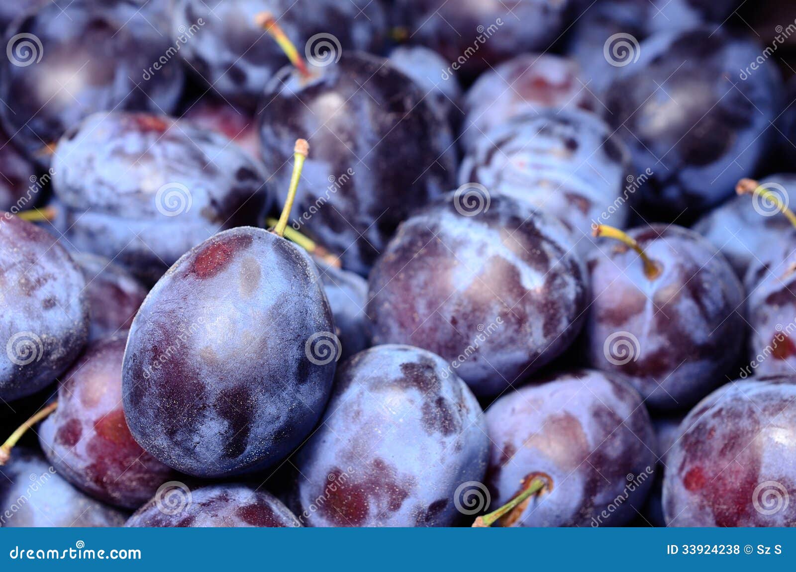 Ripe plum in the market stock photo. Image of agriculture - 33924238