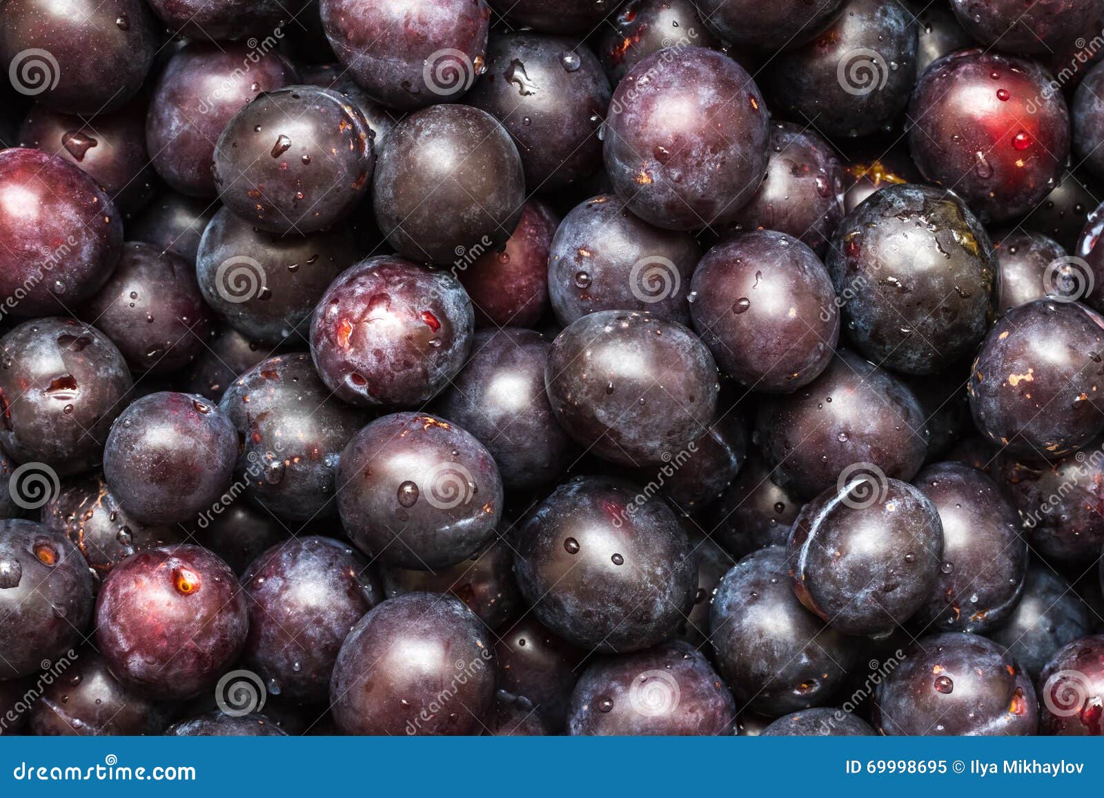 Ripe plum stock image. Image of nutrition, harvest, cherry - 69998695