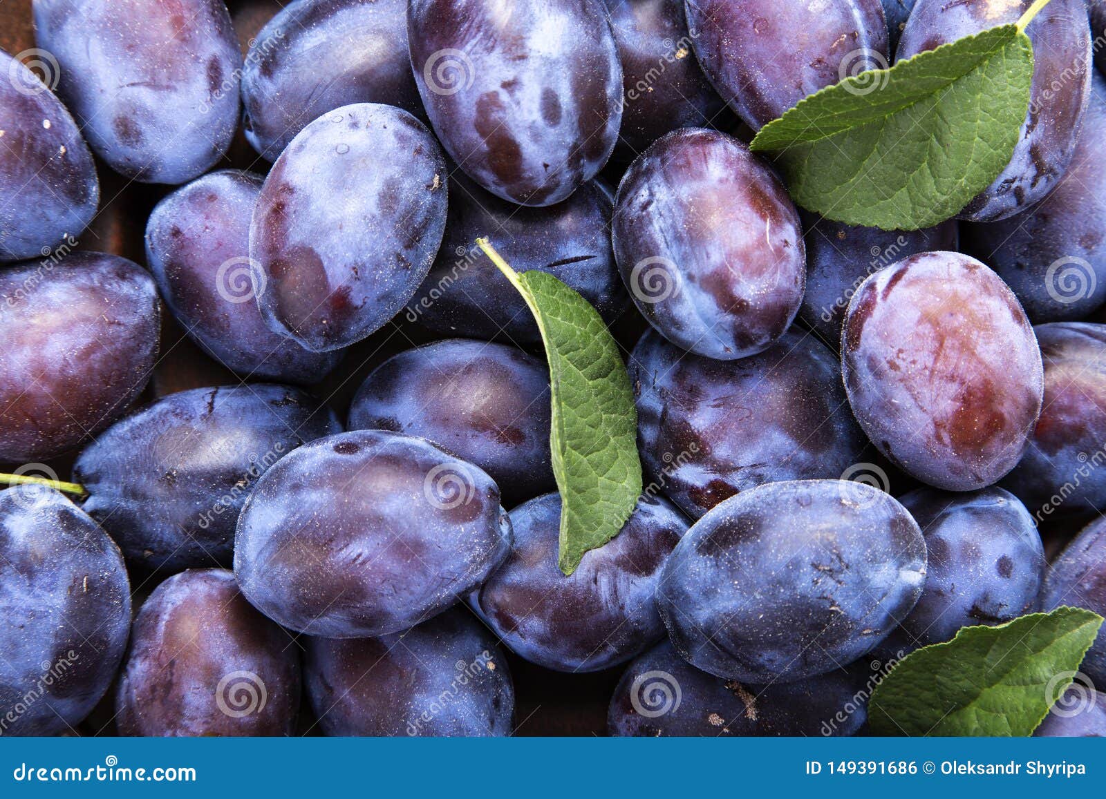 Ripe Plums Background stock photo. Image of macro, high - 149391686
