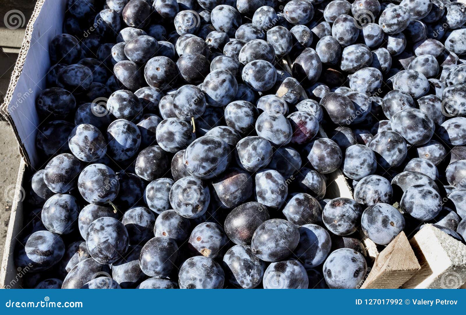 Ripe plums in a box stock photo. Image of berry, freshness - 127017992