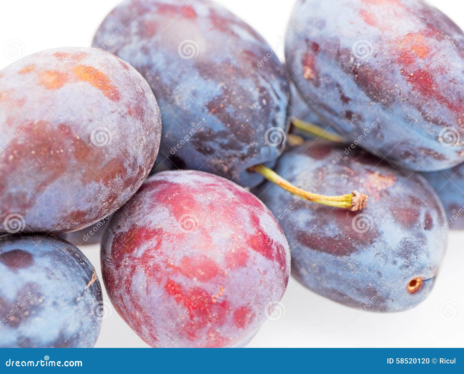 Ripe plums stock photo. Image of pome, stalk, pluck, garden - 58520120