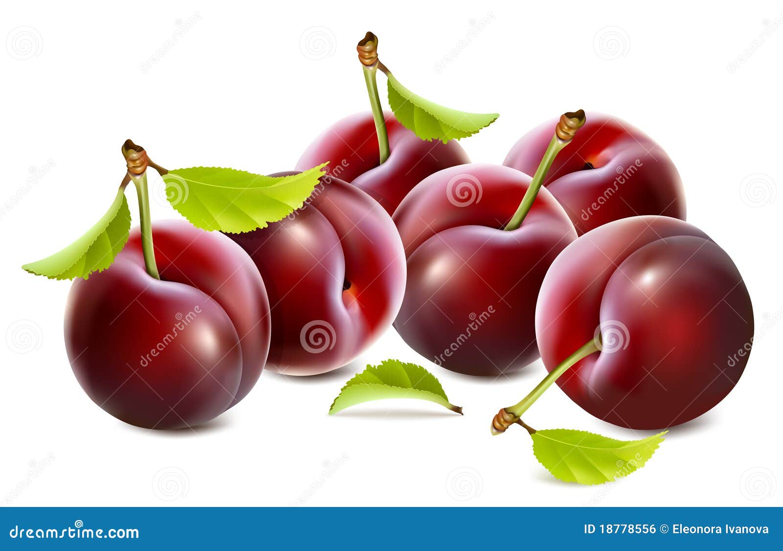 Ripe plums with leaves stock vector. Illustration of snack - 18778556