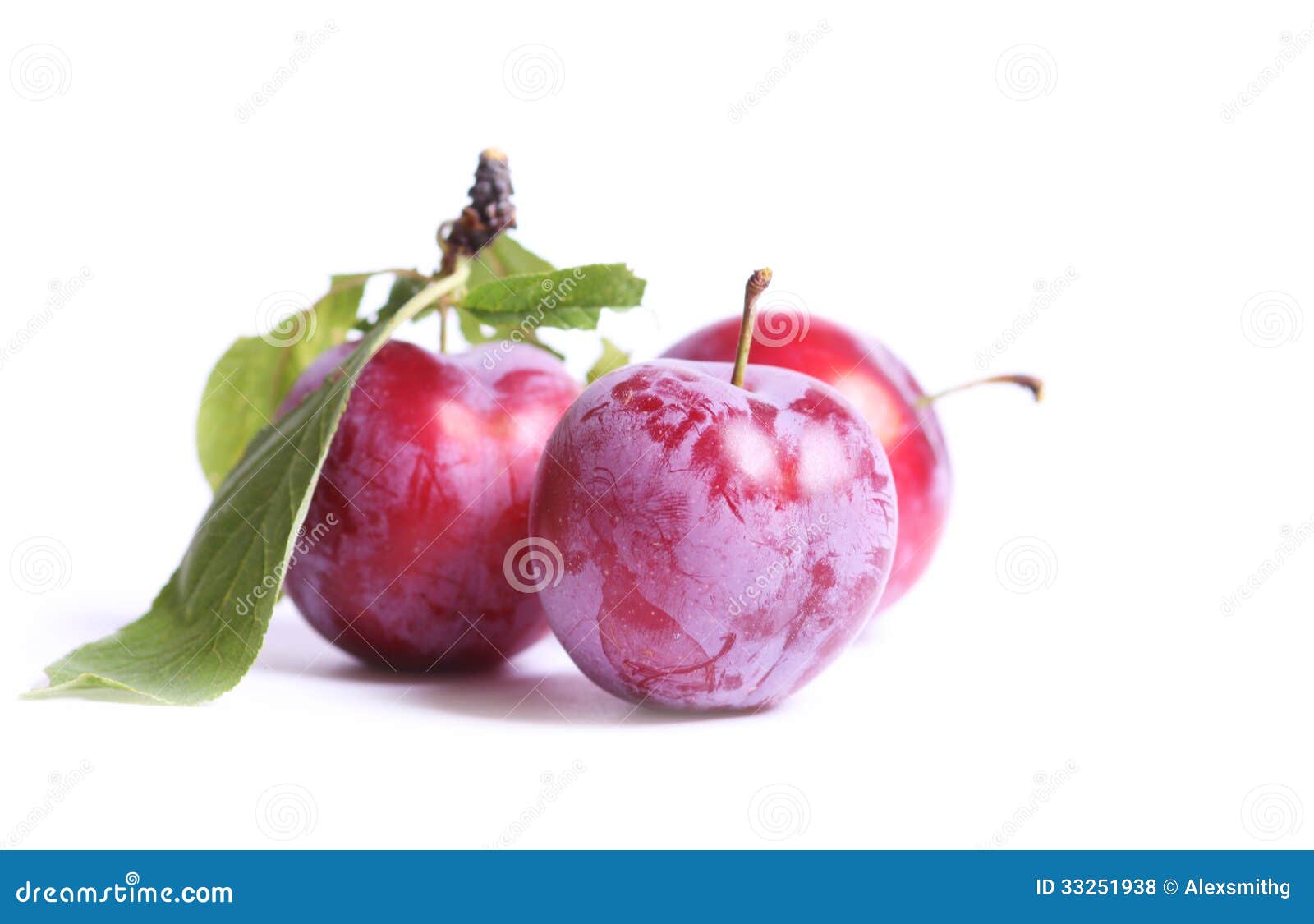 Ripe plums stock photo. Image of plum, blue, green, delicious - 33251938