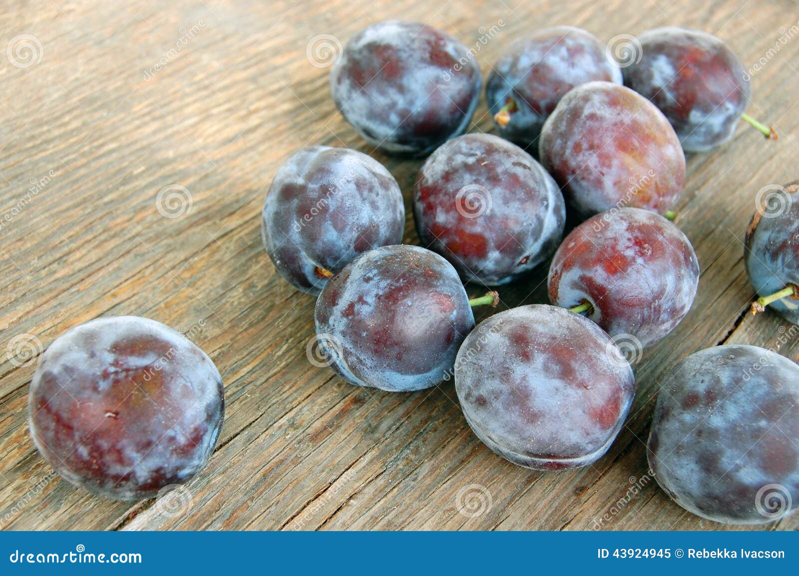 Ripe Plums stock image. Image of ecology, detailed, kitchen - 43924945