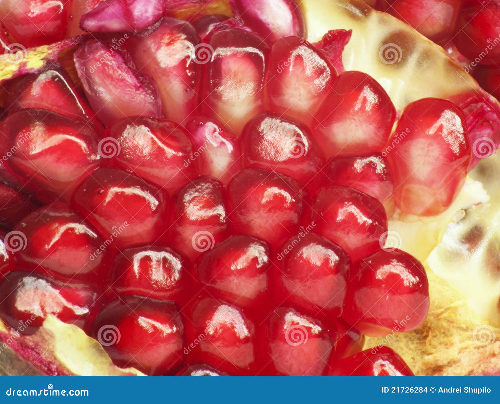 Ripe pomegranate stock photo. Image of pomegranate, healthy - 21726284