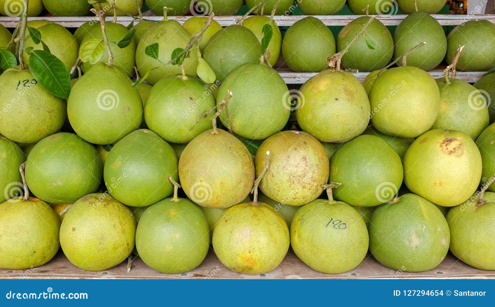 Ripe Pomelos on shelf stock photo. Image of green, plant - 127294654