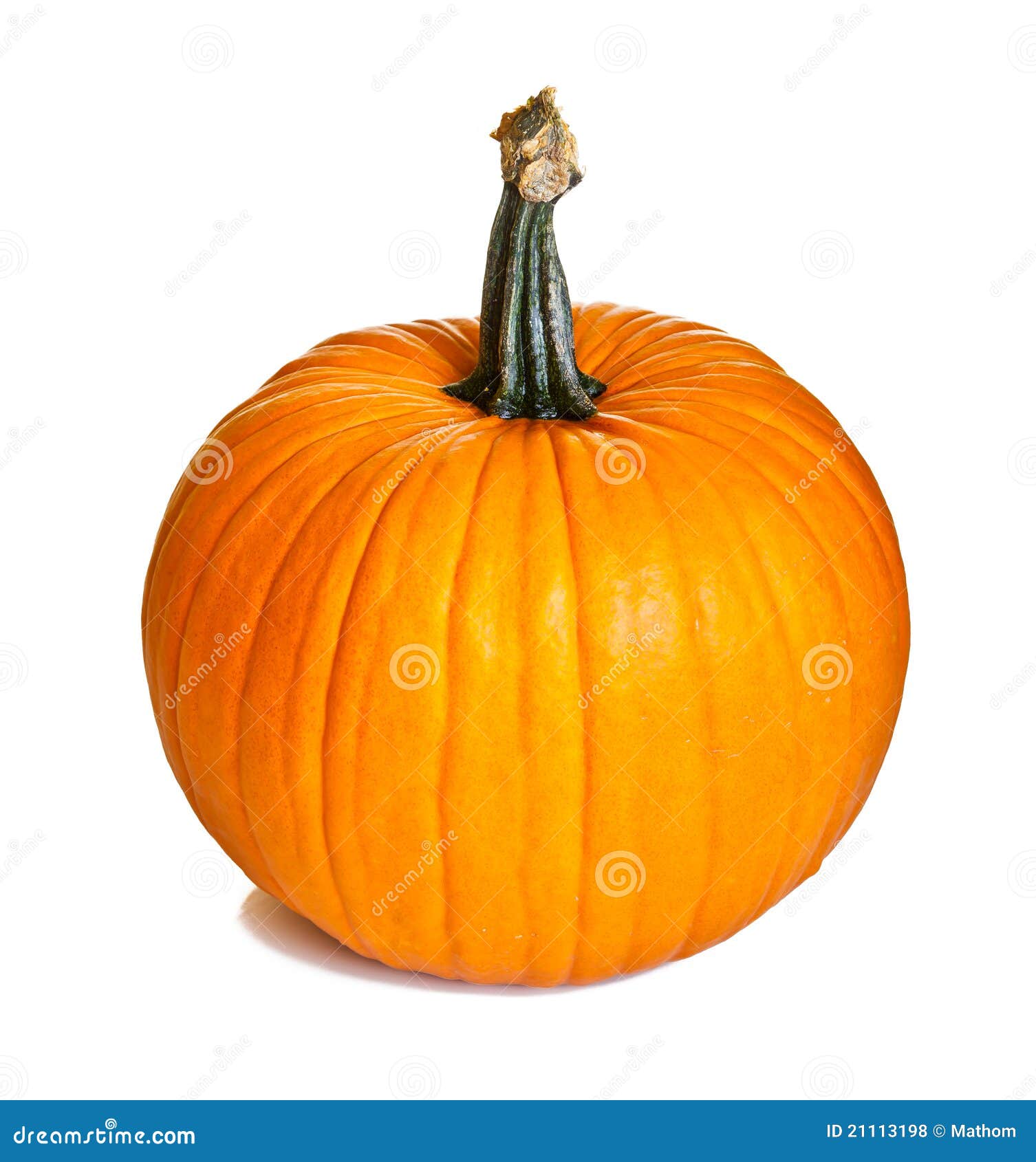 Ripe Pumpkin Fruits Isolated Stock Photo - Image of holidays, eating ...