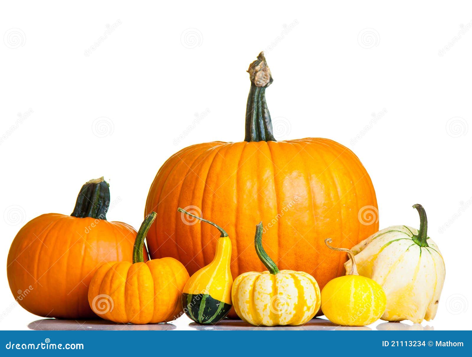 Ripe Pumpkin Fruits Isolated Stock Photo - Image of organic, produce ...