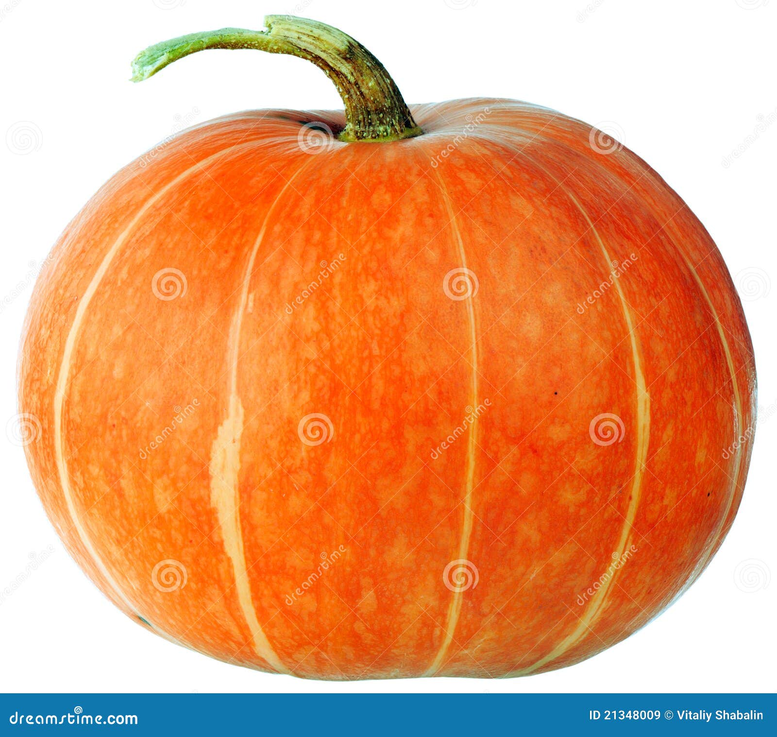Ripe pumpkin isolated stock image. Image of isolated - 21348009
