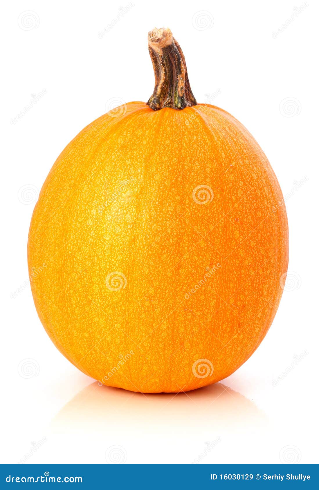Ripe Pumpkin On The Counter Royalty-Free Stock Photography ...