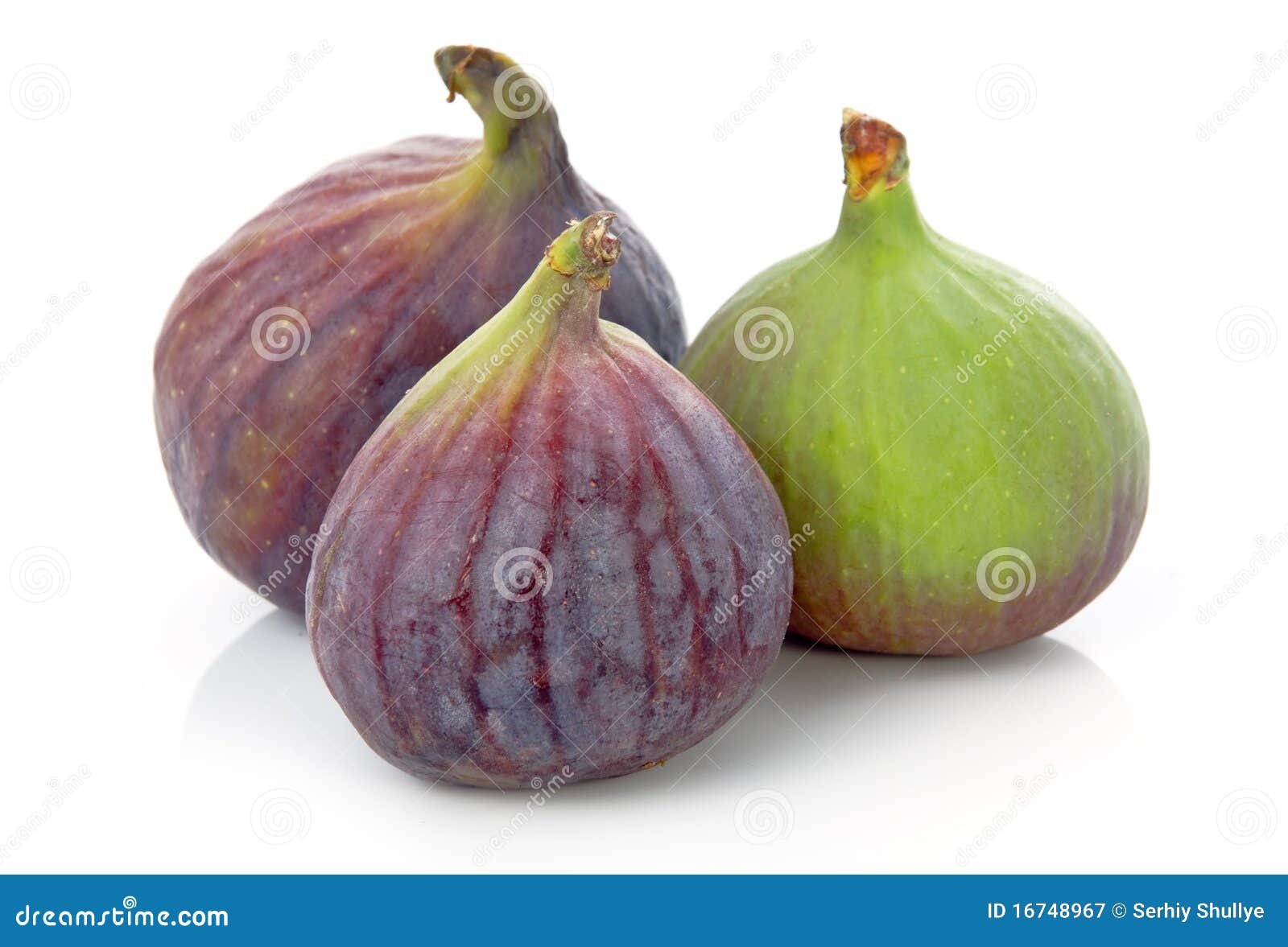 Ripe Purple and Green Fig Fruit Isolated Stock Image - Image of healthy ...