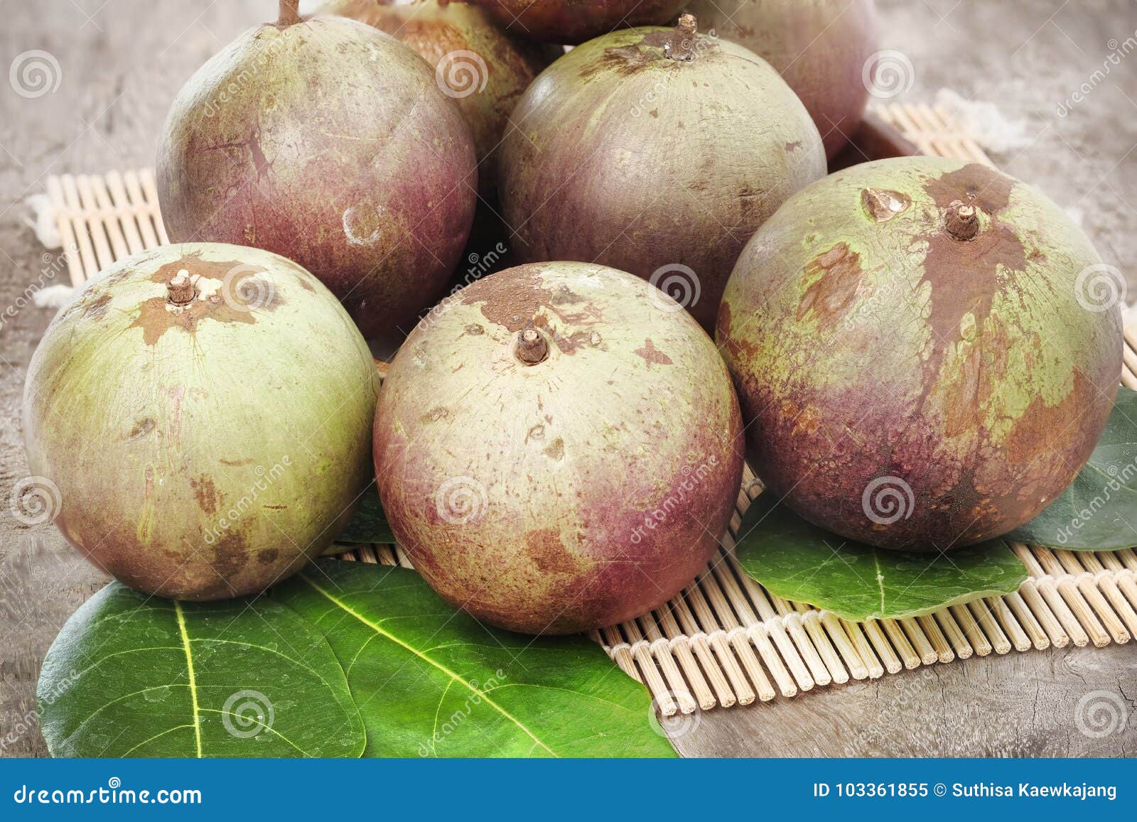 Purple Star Apple Fruits Or Cainito Fruits On Apple Tree Royalty-Free ...