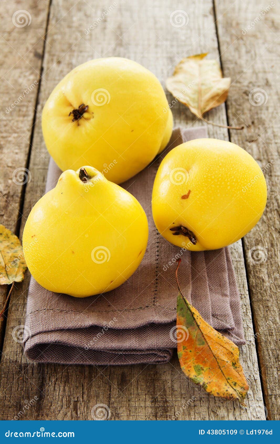 Ripe quinces stock image. Image of shadow, still, wooden - 43805109