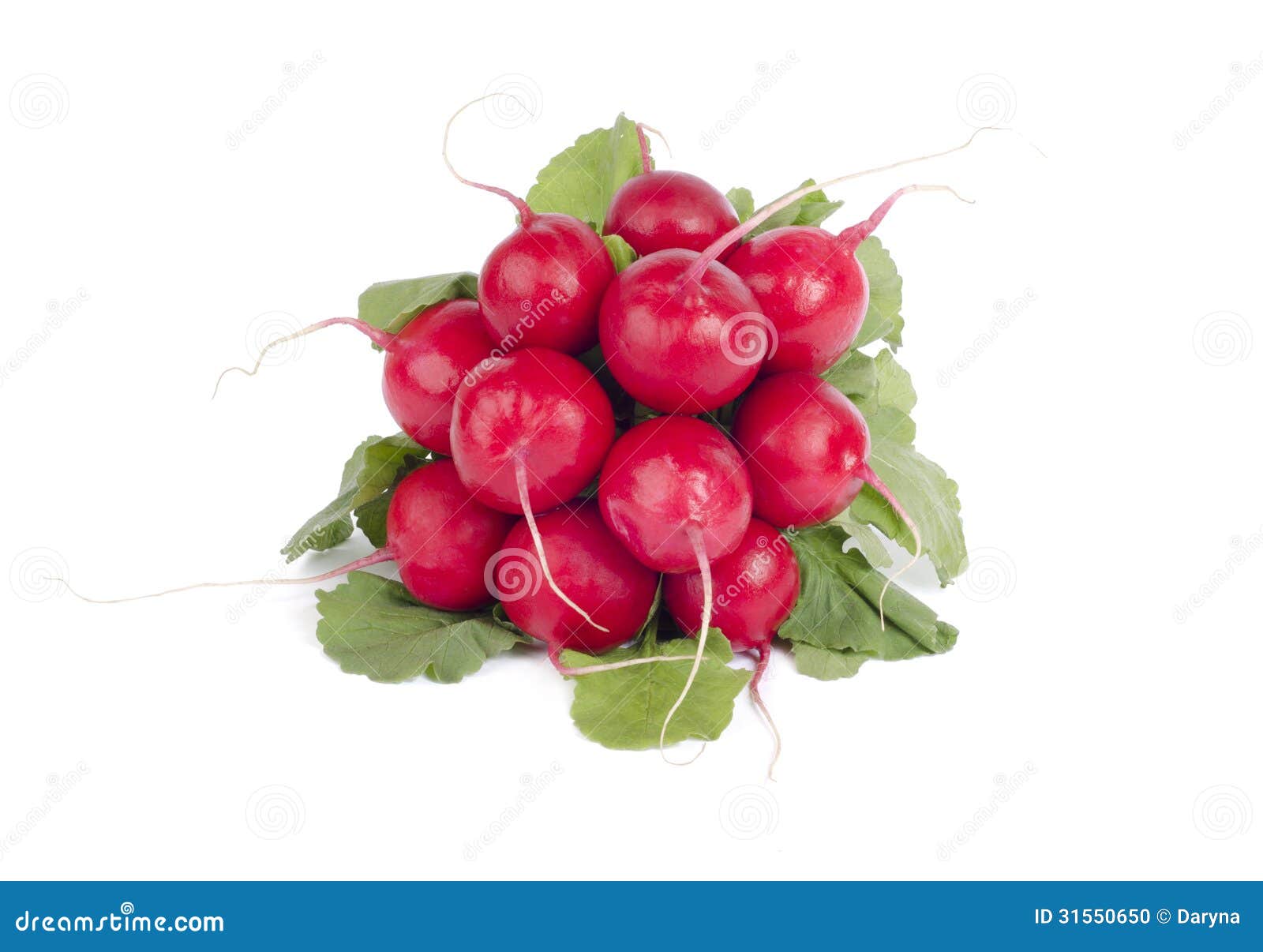 Ripe Radish Bunch with Leaves Stock Photo - Image of heap, freshness ...
