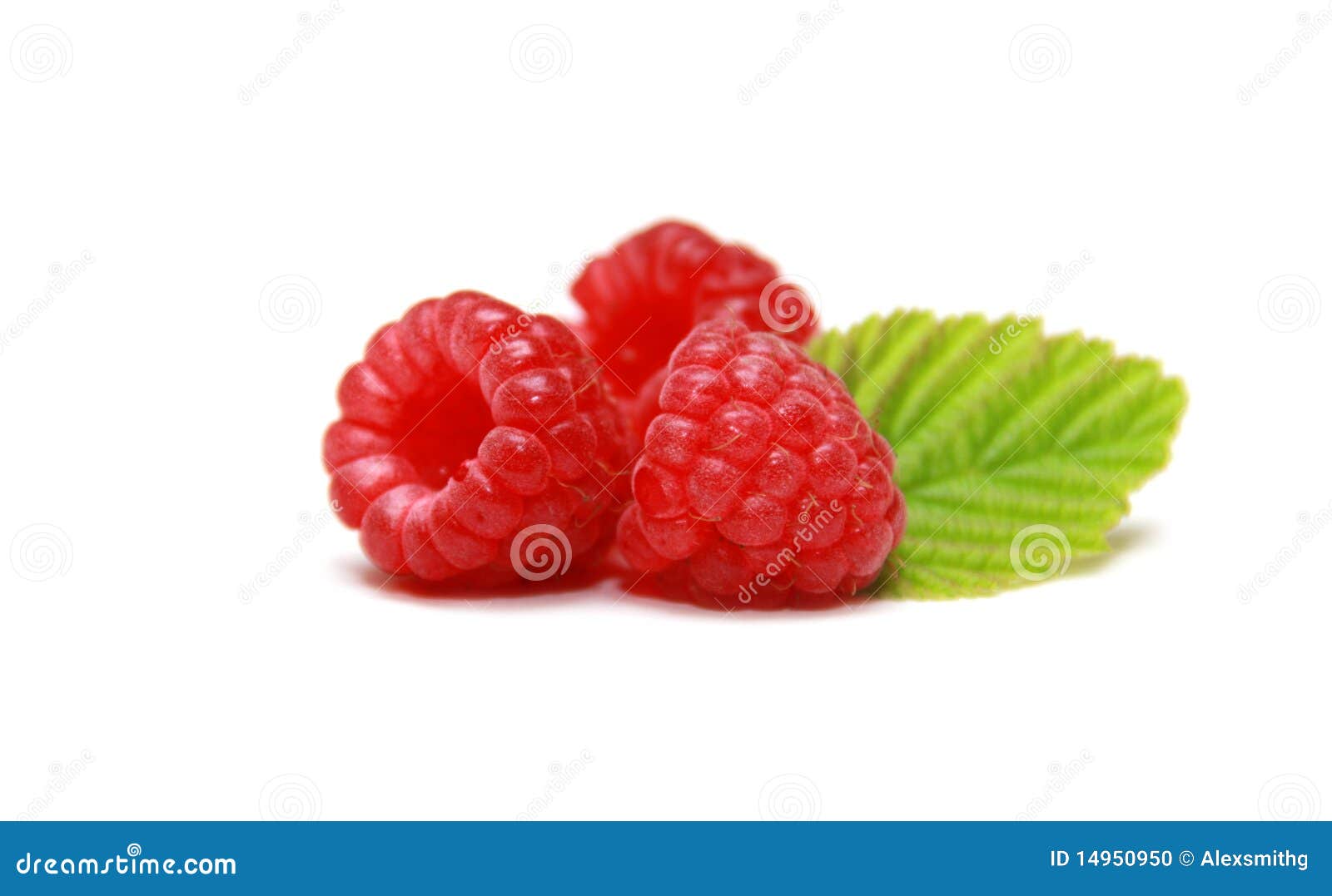 Ripe raspberries stock photo. Image of close, green, heap - 14950950