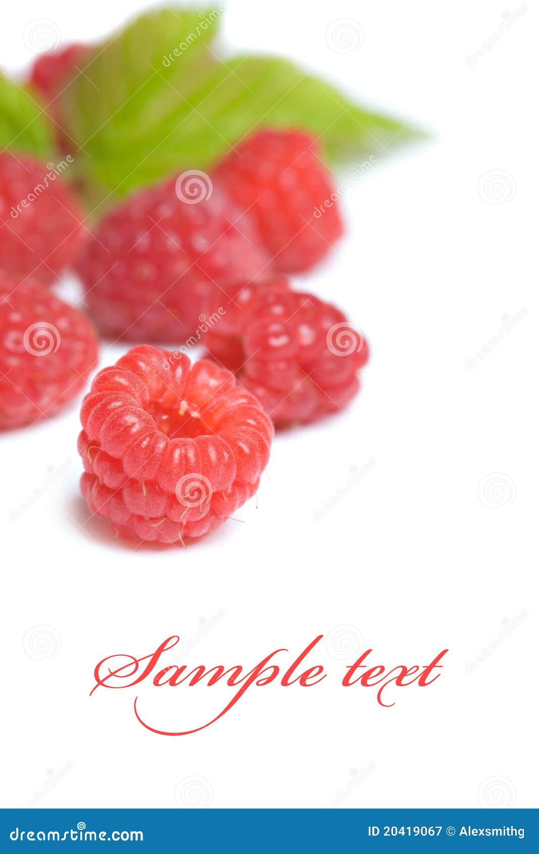 Ripe raspberries stock image. Image of length, juicy - 20419067