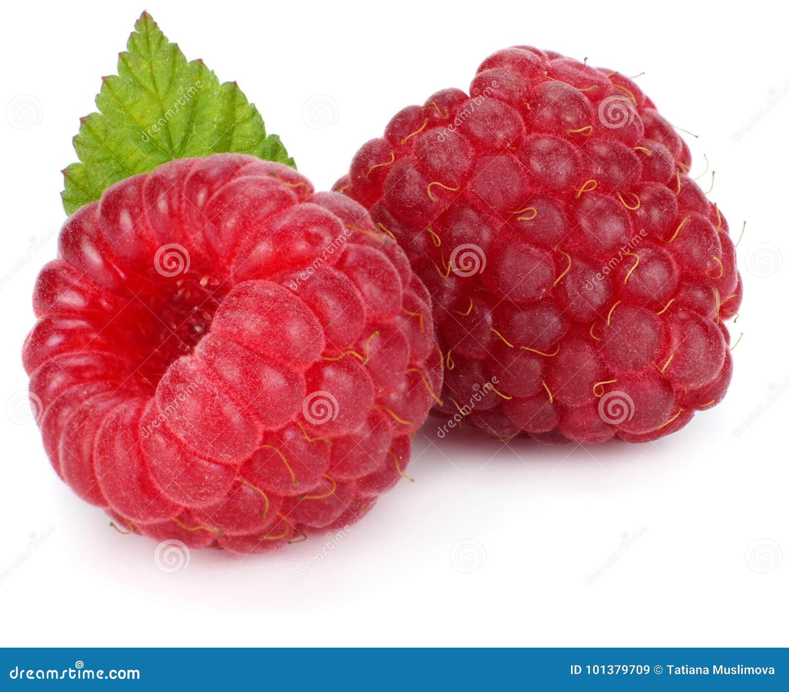 Ripe Raspberries with Green Leaf Isolated on White Background Macro ...