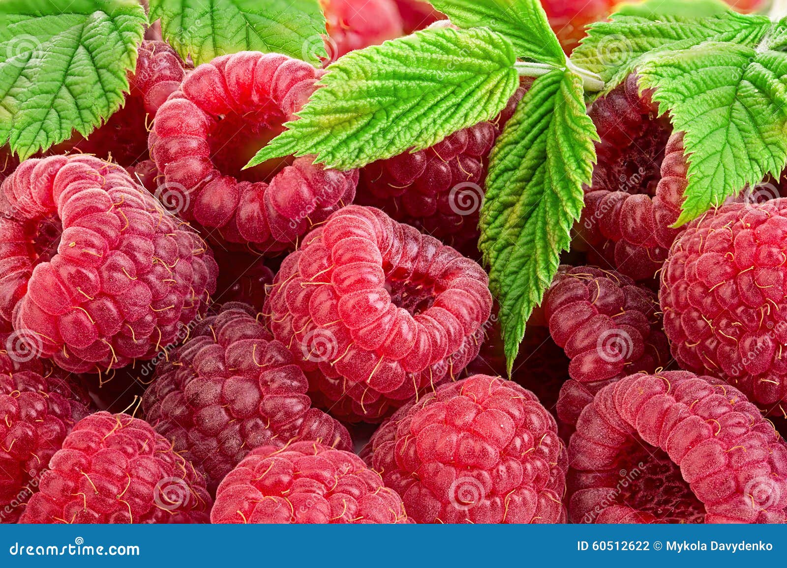 Ripe Raspberries with Leaves Close-up Stock Photo - Image of berry ...