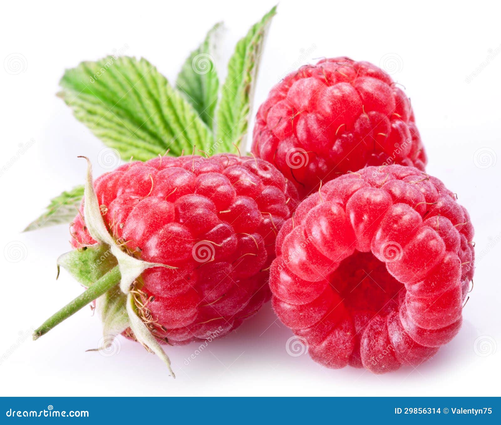 Ripe raspberries. stock photo. Image of heap, raspberry - 29856314