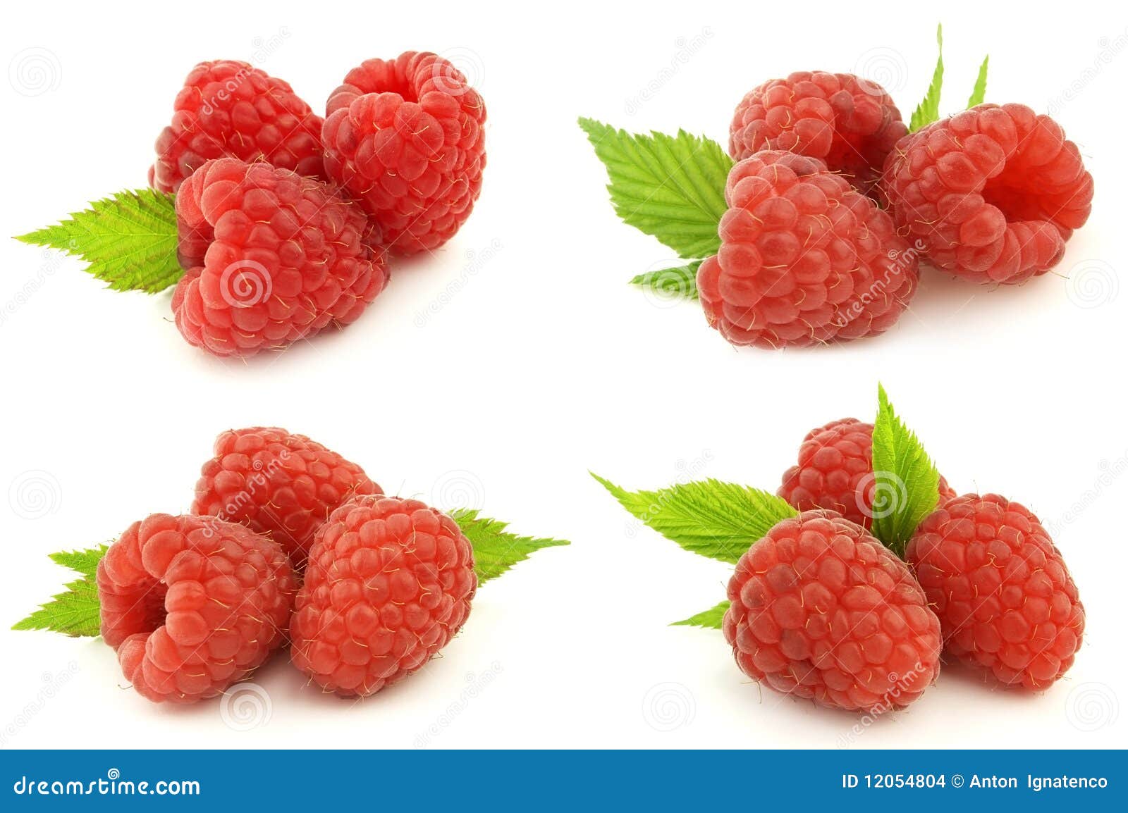 Ripe raspberry stock photo. Image of collage, diet, berry - 12054804