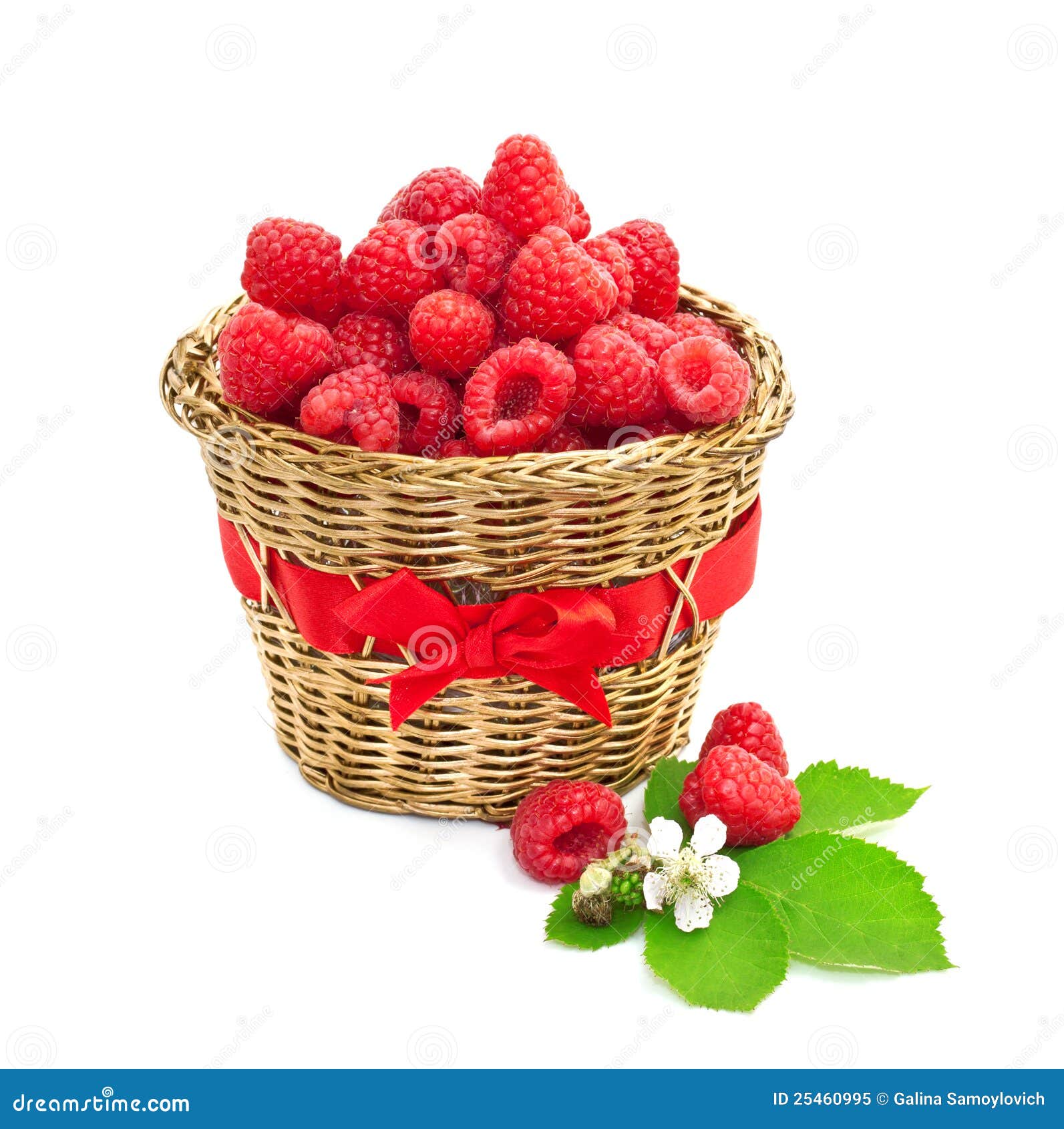 Ripe raspberry stock image. Image of food, health, raspberry - 25460995