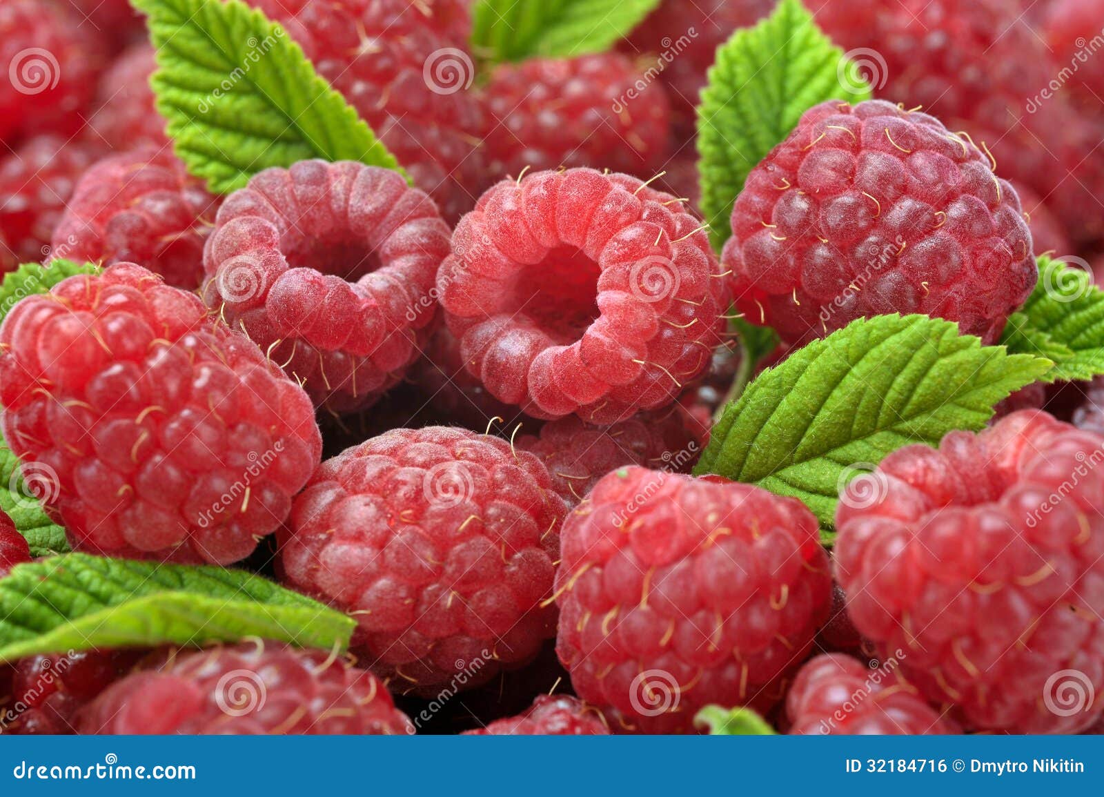 Ripe raspberry stock photo. Image of pulpy, berry, aroma - 32184716
