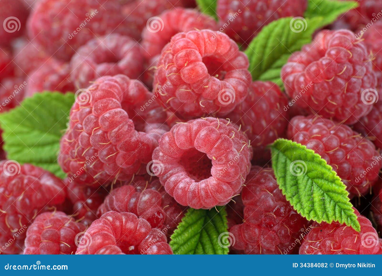 Ripe raspberry stock photo. Image of juice, lustiness - 34384082