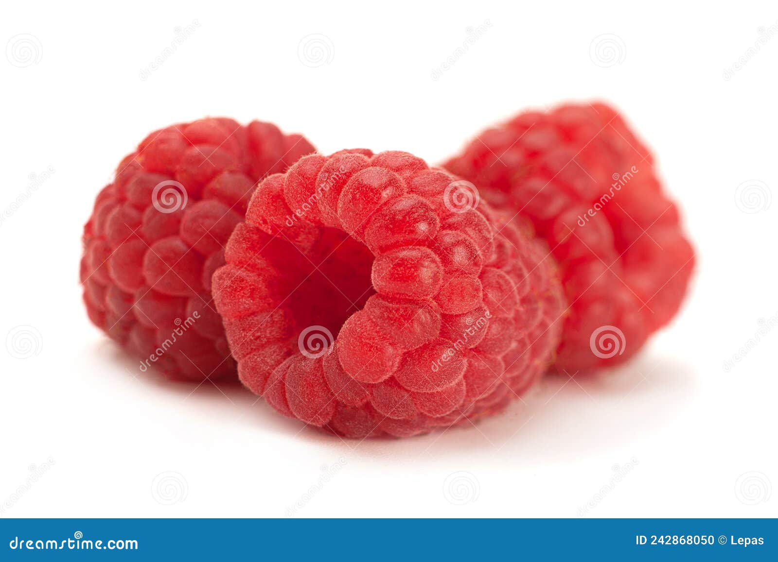 Raspberry Berry In The Child`s Palm In Nature Stock Photo ...