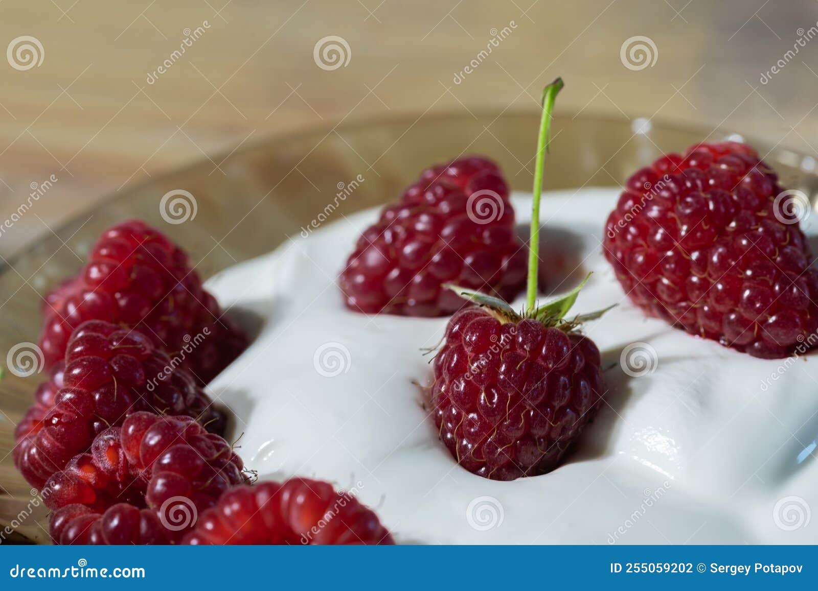 Ripe Raspberry Berry with a Sprig in Sour Cream on the Table Stock ...