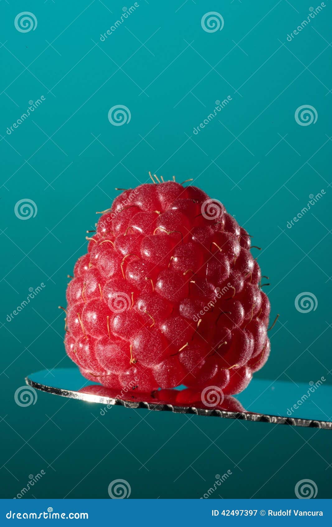 Ripe raspberry stock image. Image of view, macro, delicious - 42497397