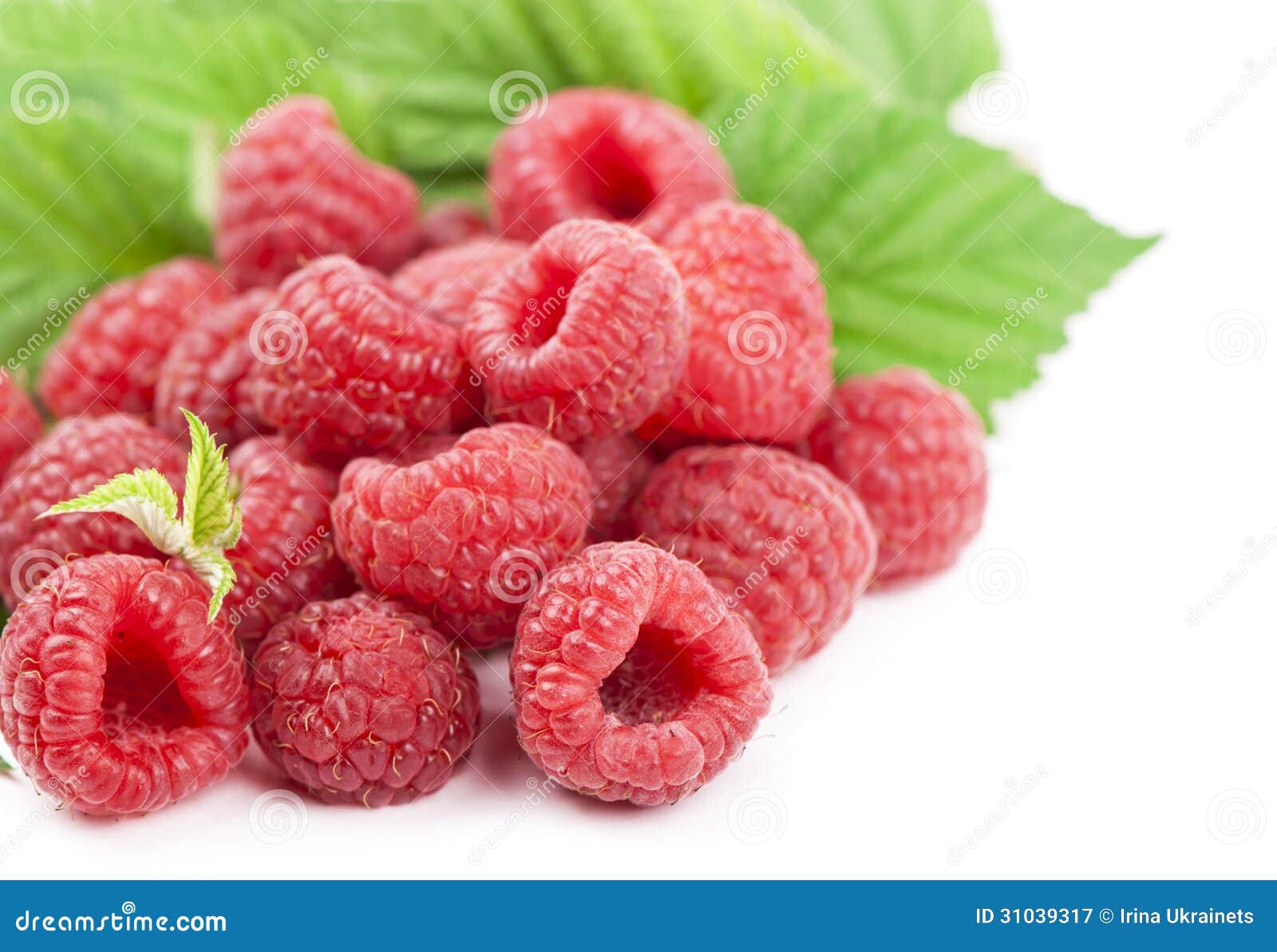 Ripe Raspberry with Green Leaf Stock Image - Image of gourmet, leaf ...