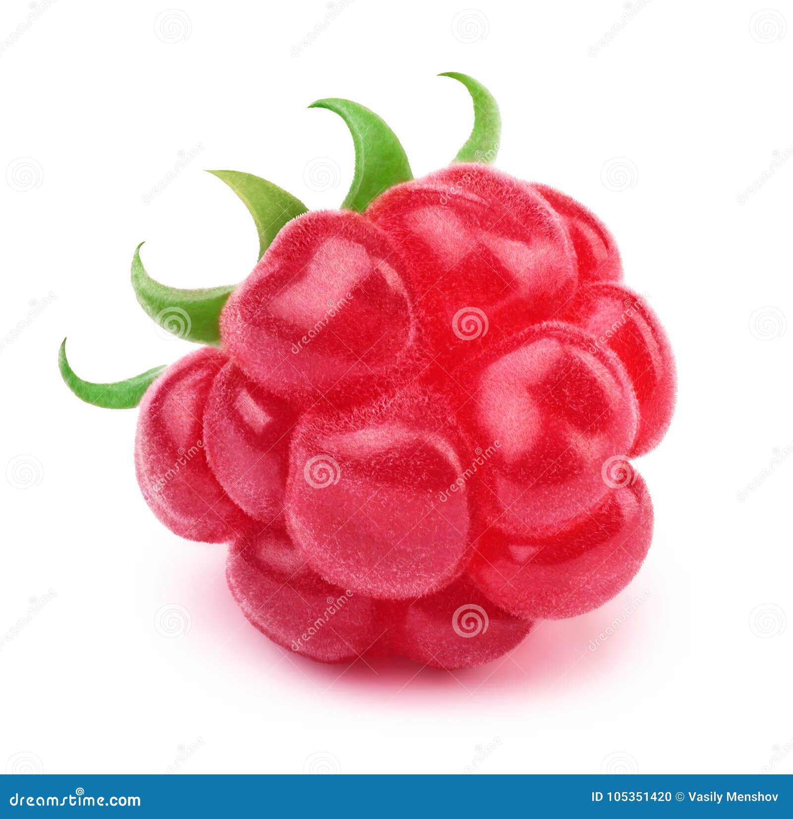 Ripe raspberry isolated stock photo. Image of leaves - 105351420