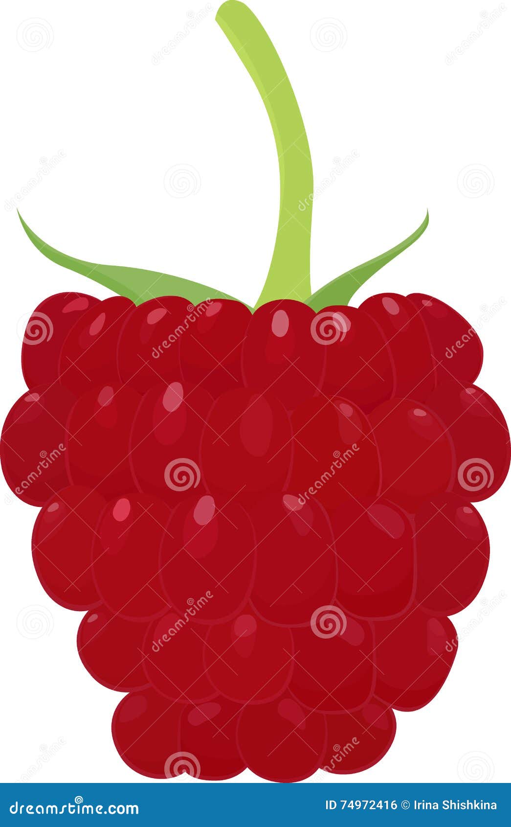 Ripe raspberry icon stock vector. Illustration of delicious - 74972416