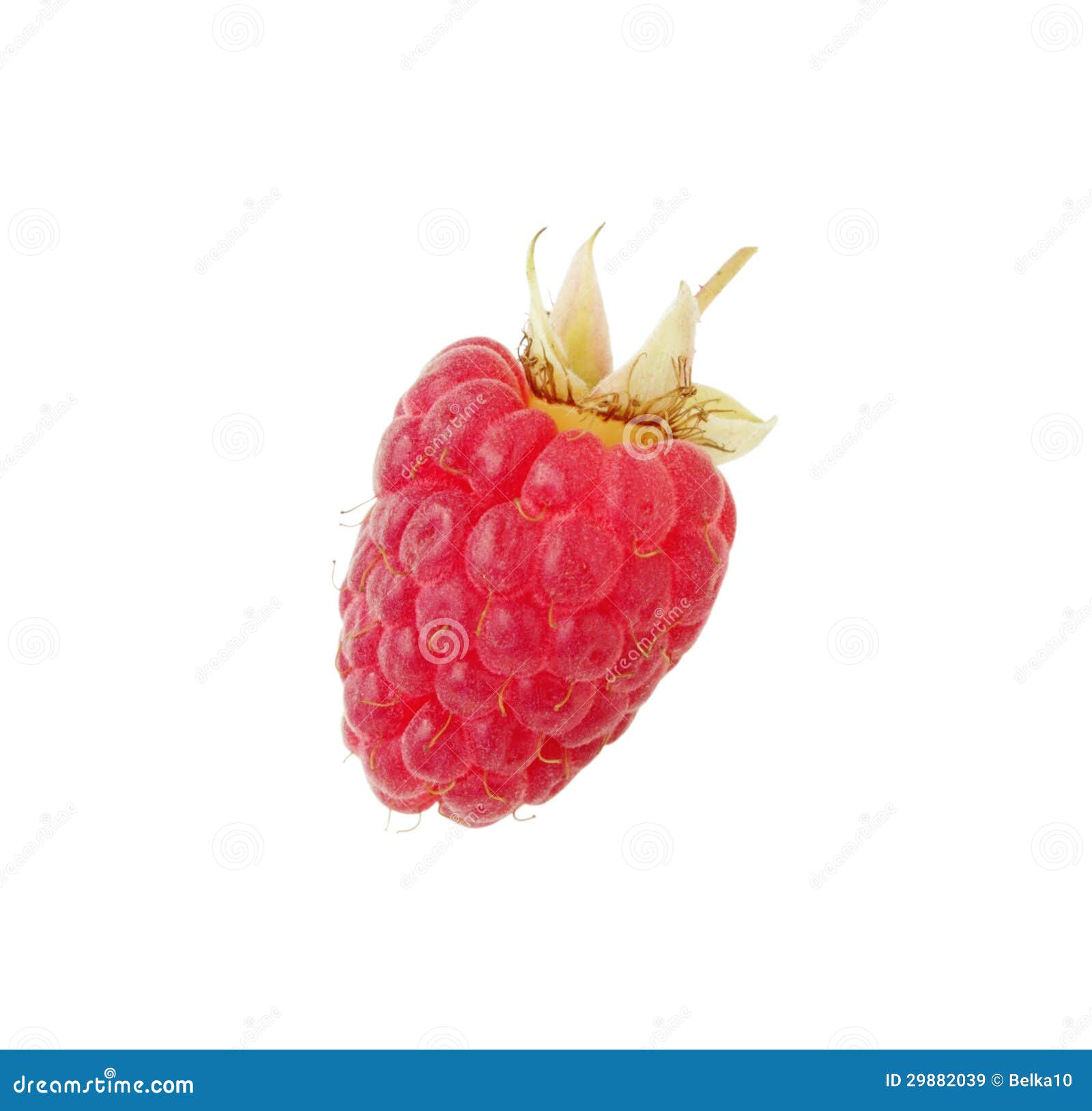 The ripe raspberry stock image. Image of delicious, freshness - 29882039