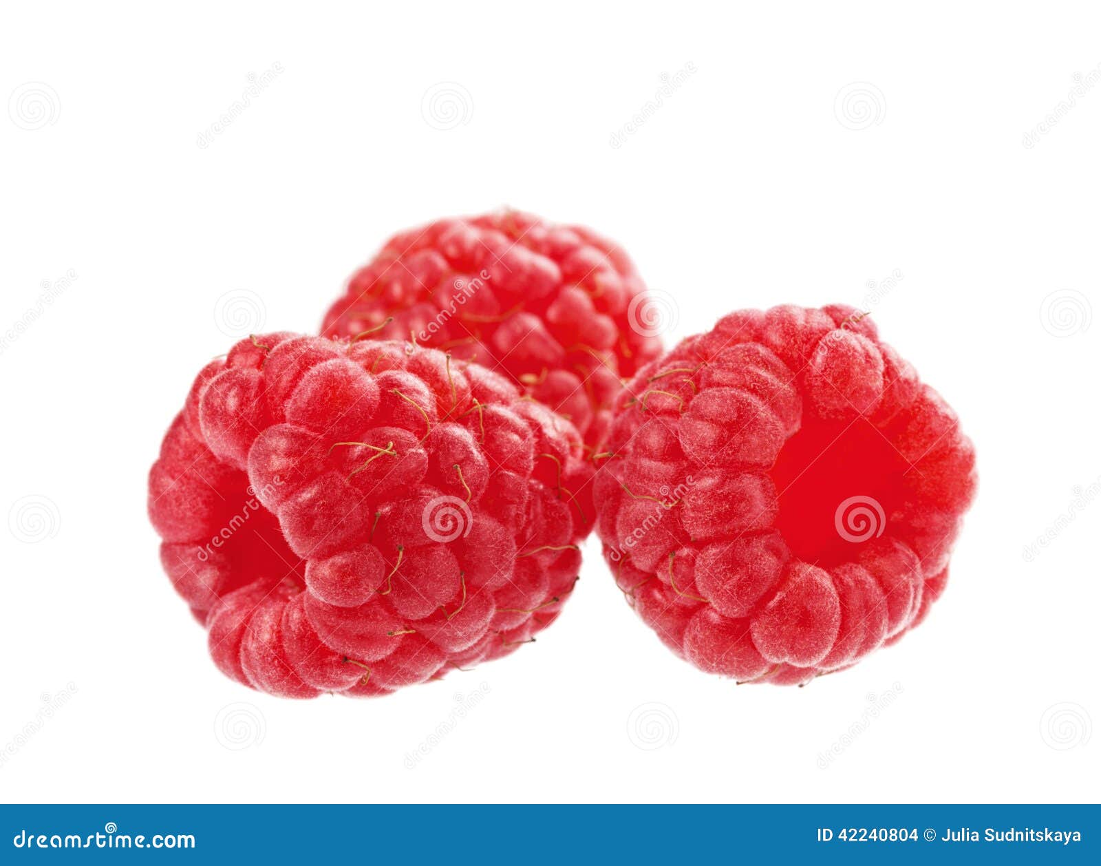Ripe raspberry isolated stock photo. Image of crimson - 42240804