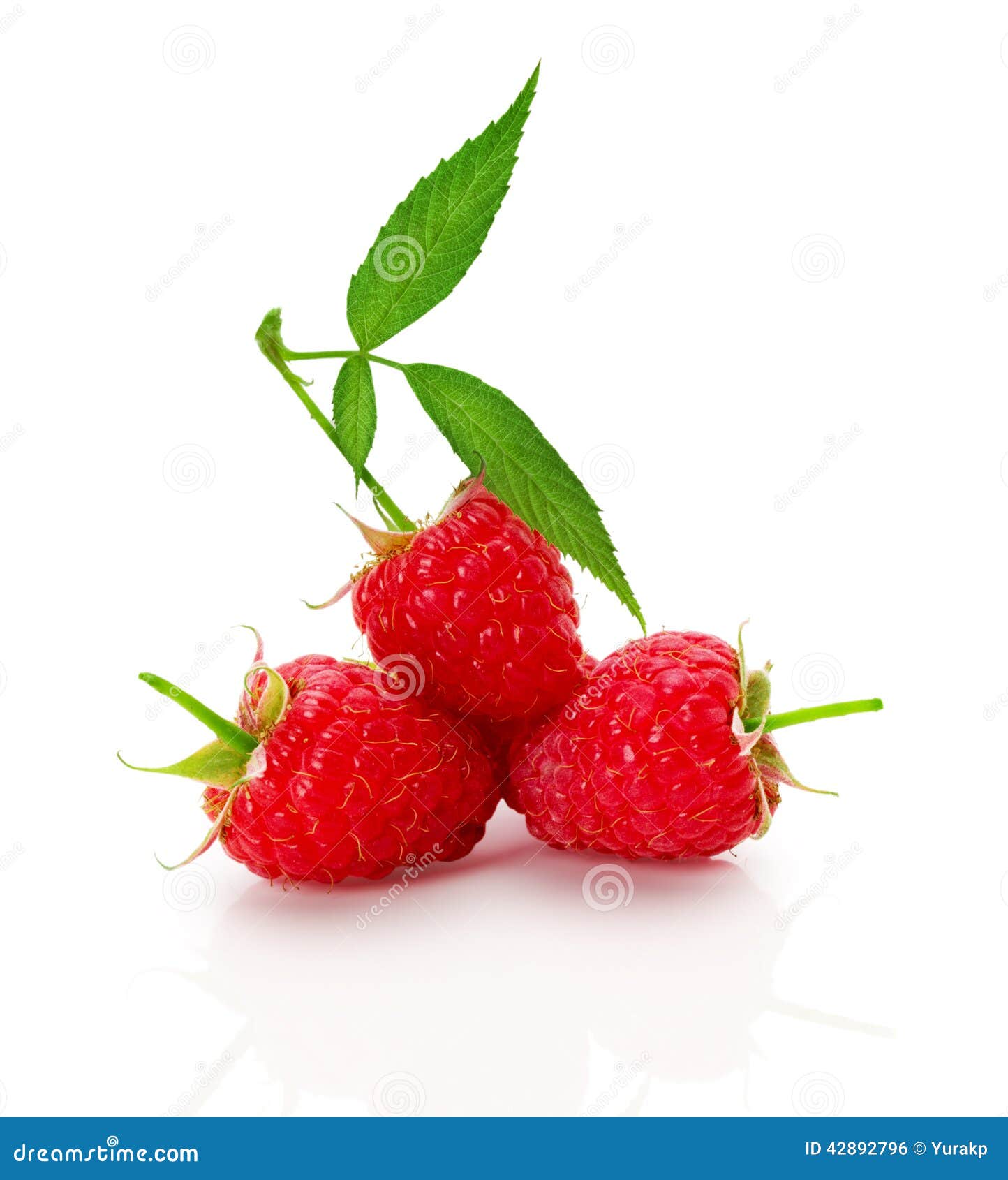 Ripe Raspberry Isolated on the White Background Stock Photo - Image of ...