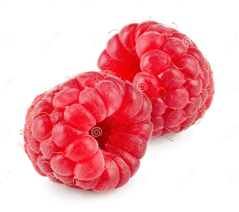Ripe Raspberry Isolated on White Background. Macro Stock Image - Image ...