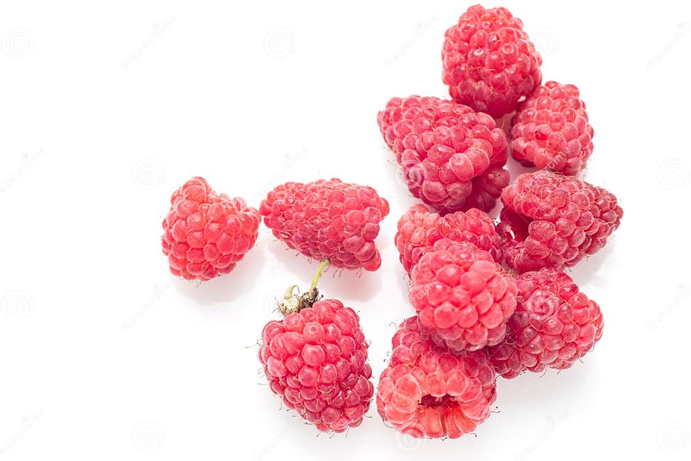 Ripe Raspberry Isolated on a White Background Stock Image - Image of ...