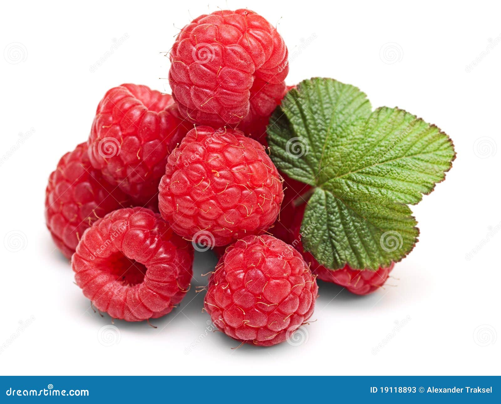 Ripe Raspberry with Leaf Isolated on White Stock Image - Image of ...