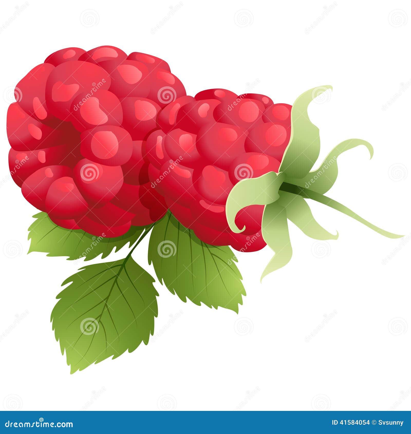 Ripe raspberry with leaf stock vector. Illustration of closeup - 41584054