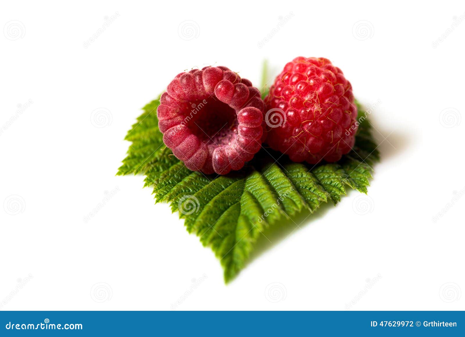 Ripe raspberry stock photo. Image of color, nature, light - 47629972