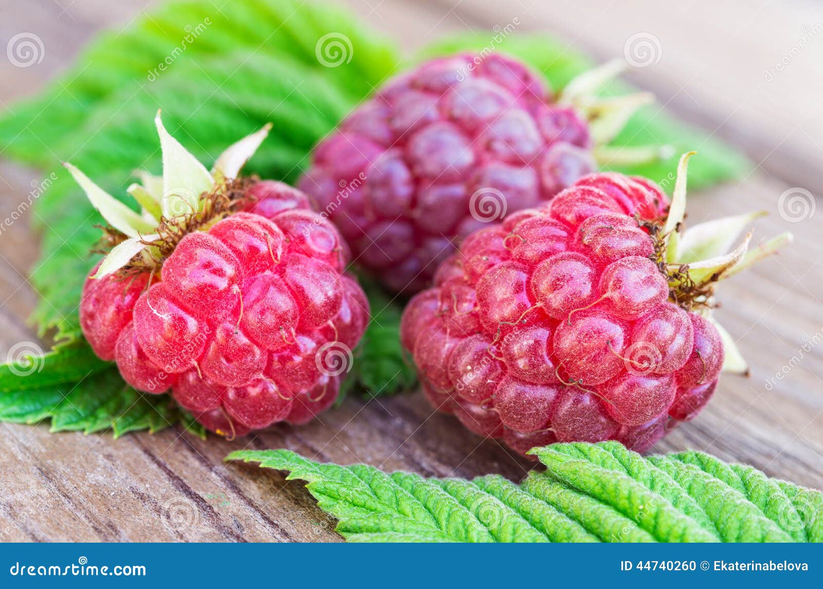 Ripe raspberry stock photo. Image of gourmet, eating - 44740260